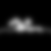 David Popovici: Five things to know about Romania's swimming star